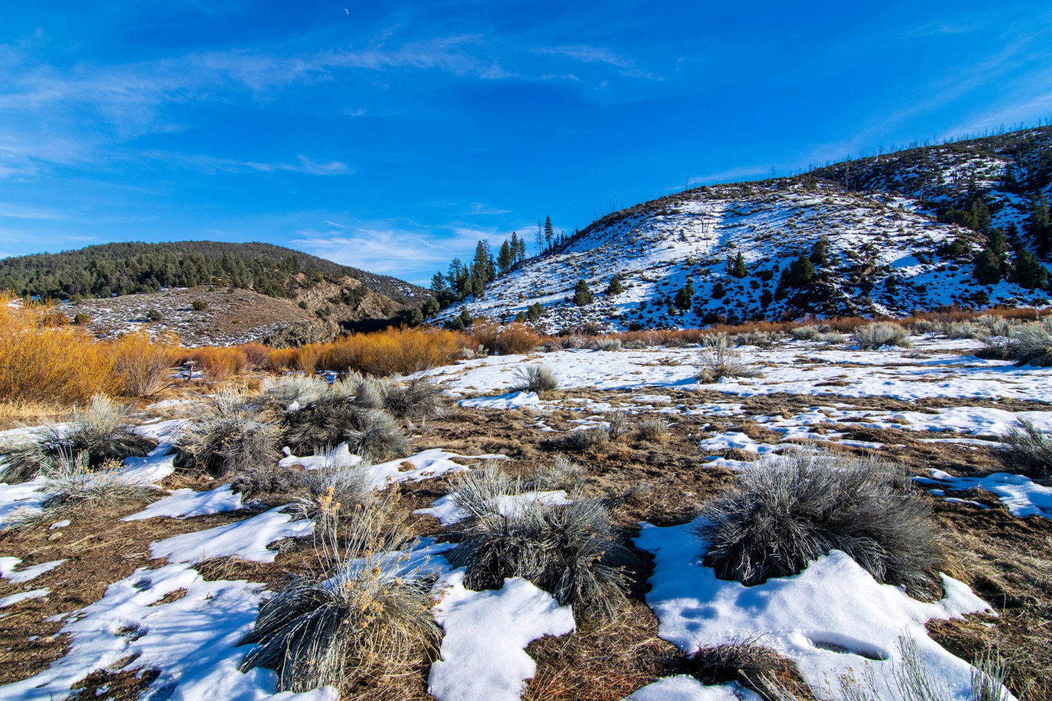 DISCOVERING LOS PADRES NATIONAL FOREST - Parkseekers